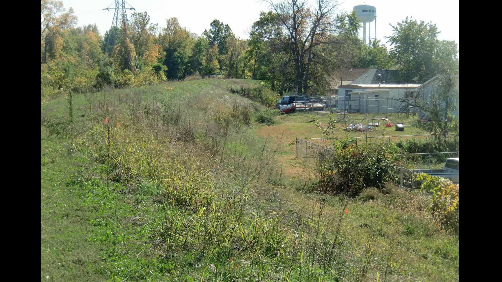 Geophysics for Design, Analysis, and Certification of a Levee